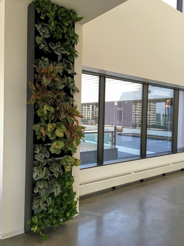 mccaren designs building interior Tray System Greenwall | McCaren Designs
