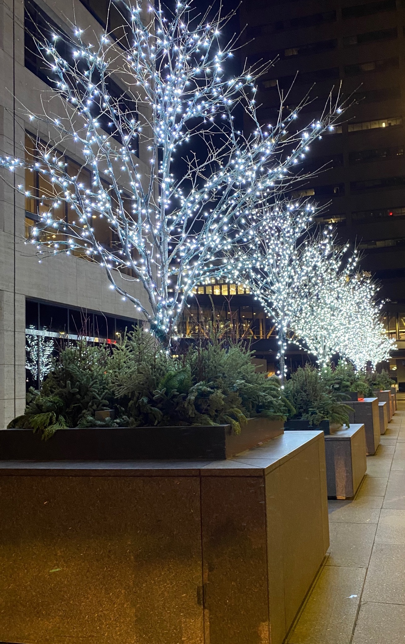 mccaren designs exterior holiday lights | McCaren Designs