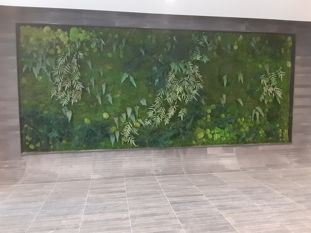 Mccaren designs hanging greenwall 2 office design | McCaren Designs