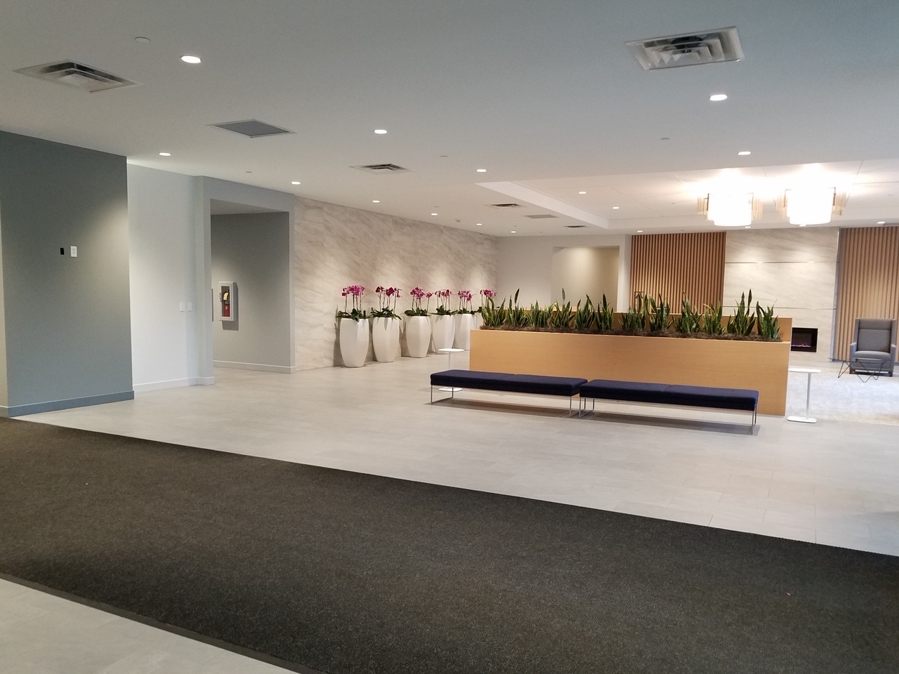 mccaren designs interior plants office space | McCaren Designs