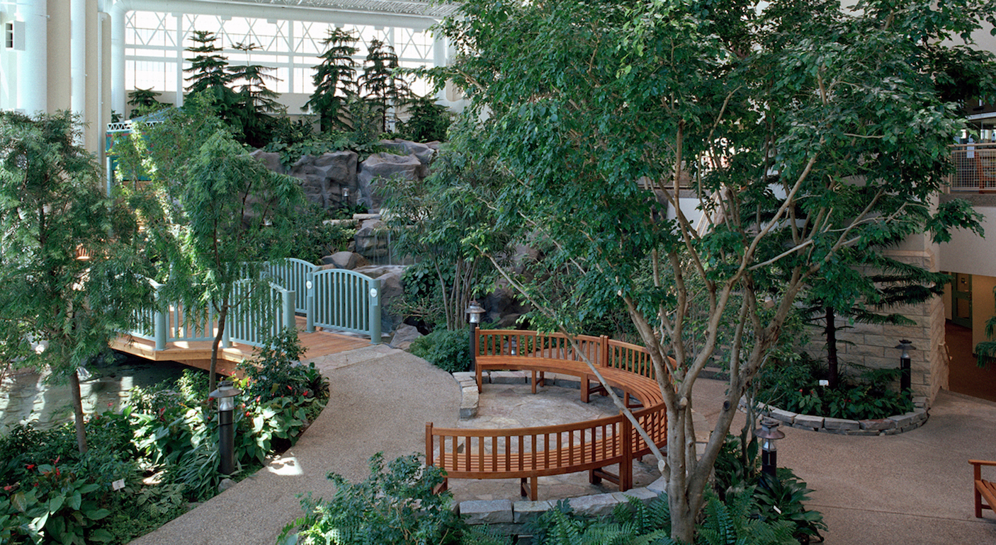 McCaren_Designs_Interiorscape_interior_landscaping | McCaren Designs