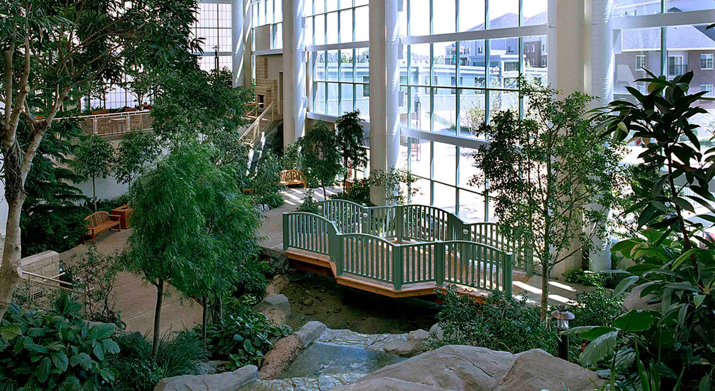 McCaren_Designs_Interiorscape_interior_landscaping | McCaren Designs