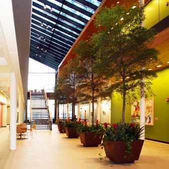 Interiorscape | McCaren Designs