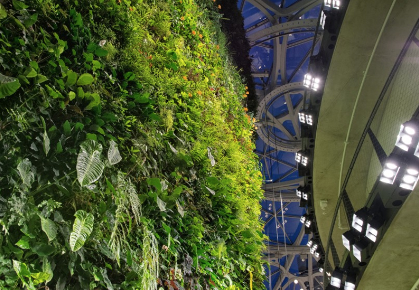 Amazon Spheres | Meteor Lighting