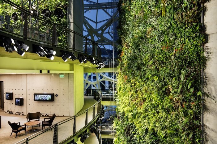 Amazon Spheres | Meteor Lighting