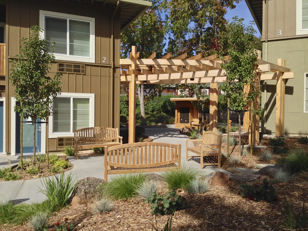 mikiten architecture rising oaks courtyard view | Mikiten Architecture