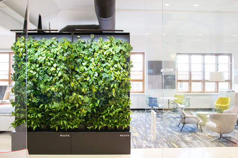 Office | Naava