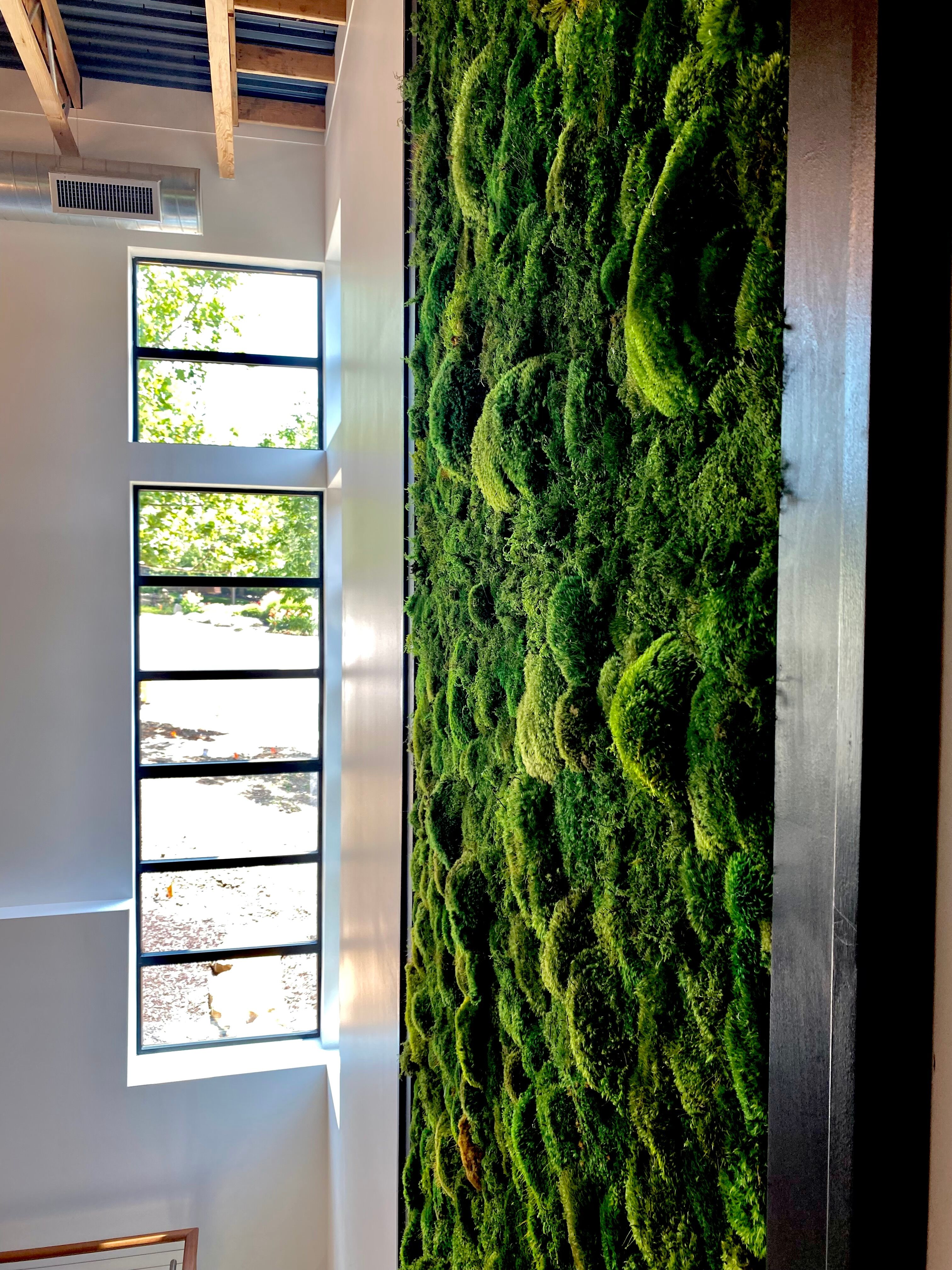 Navitas.CloseupwithWindow.2021 | The Fat Plant Society