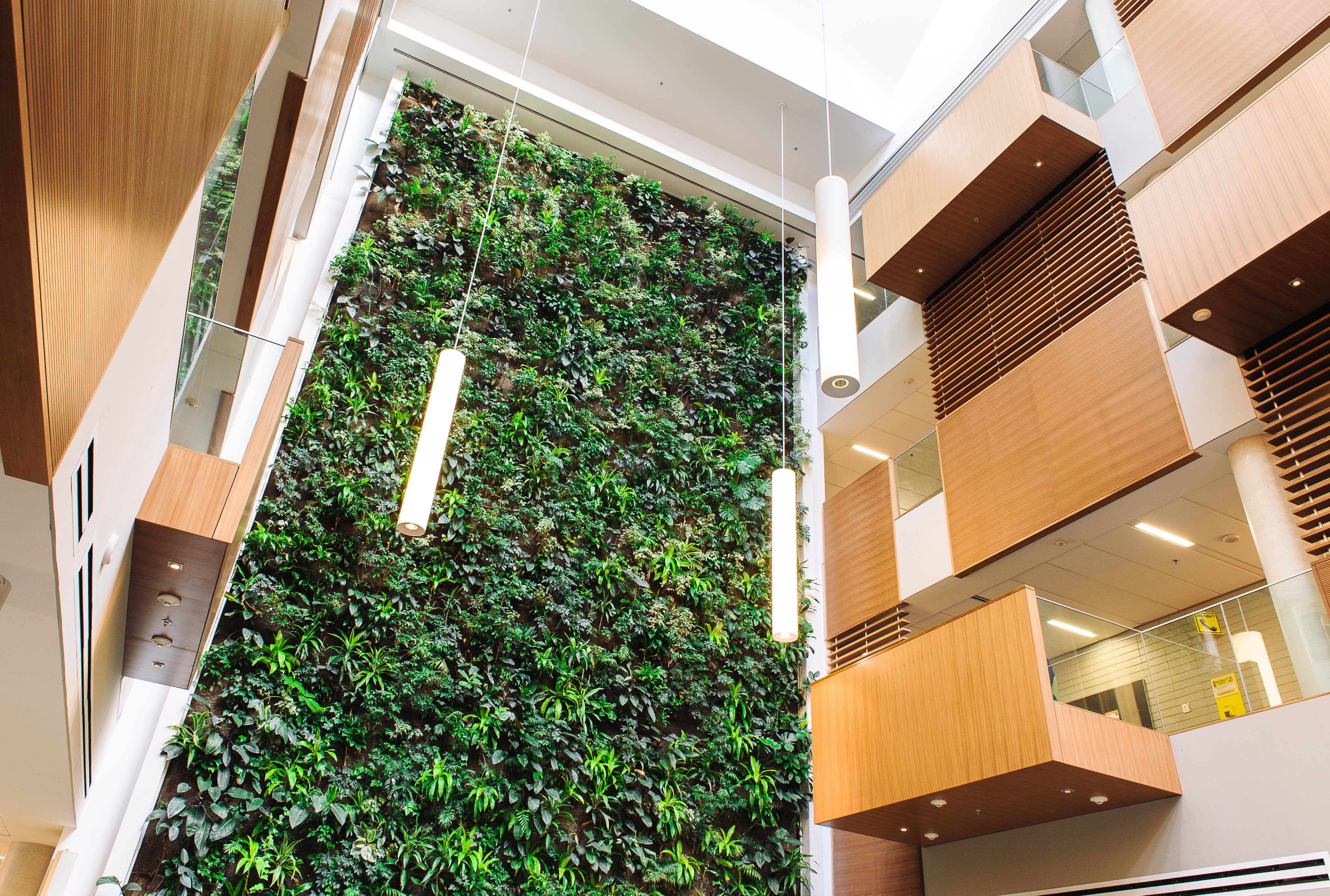 Nedlaw Living Walls Centennial College Library 2 | Nedlaw Living Walls