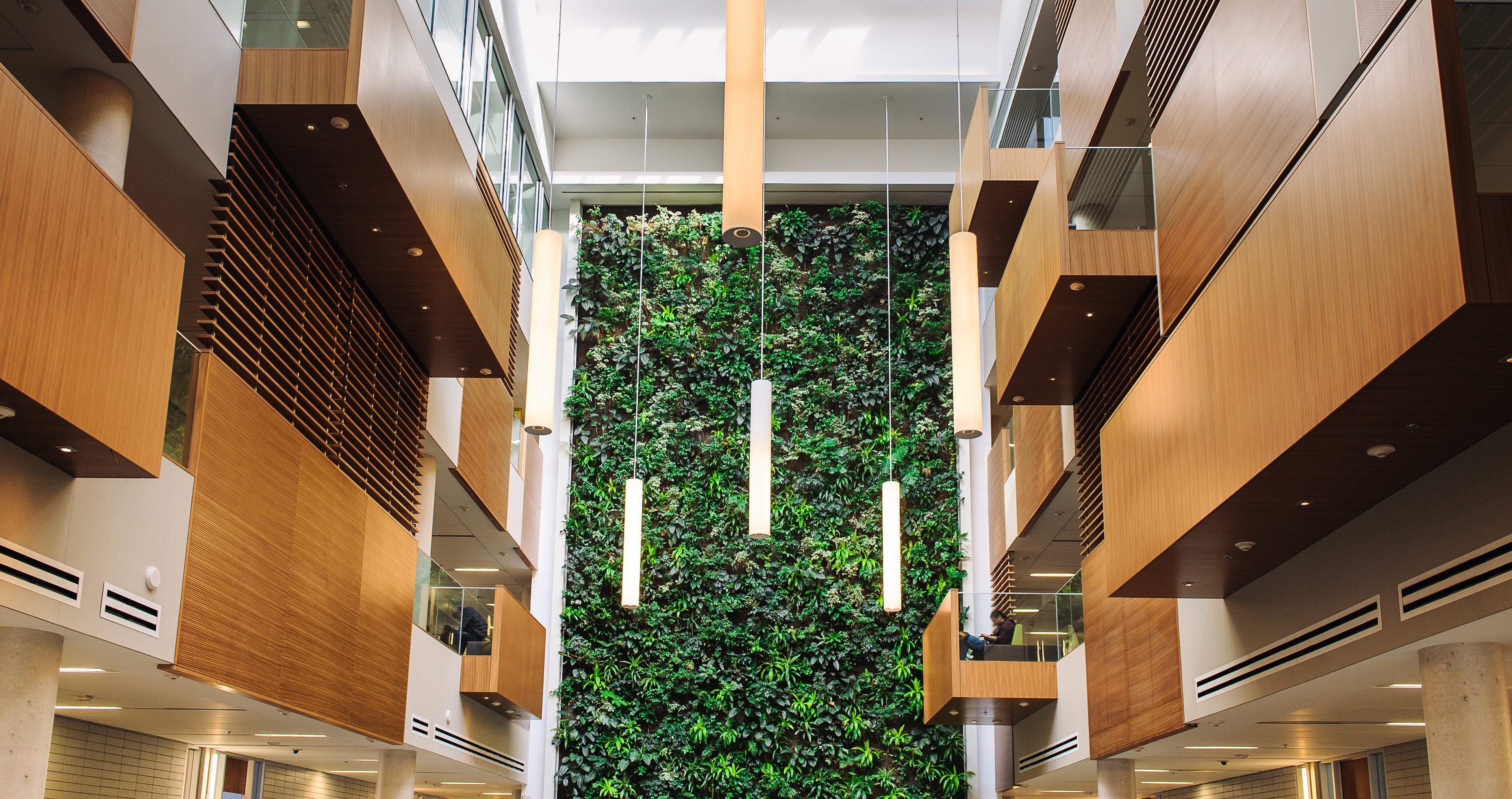 Nedlaw Living Walls Centennial College Library 5 | Nedlaw Living Walls