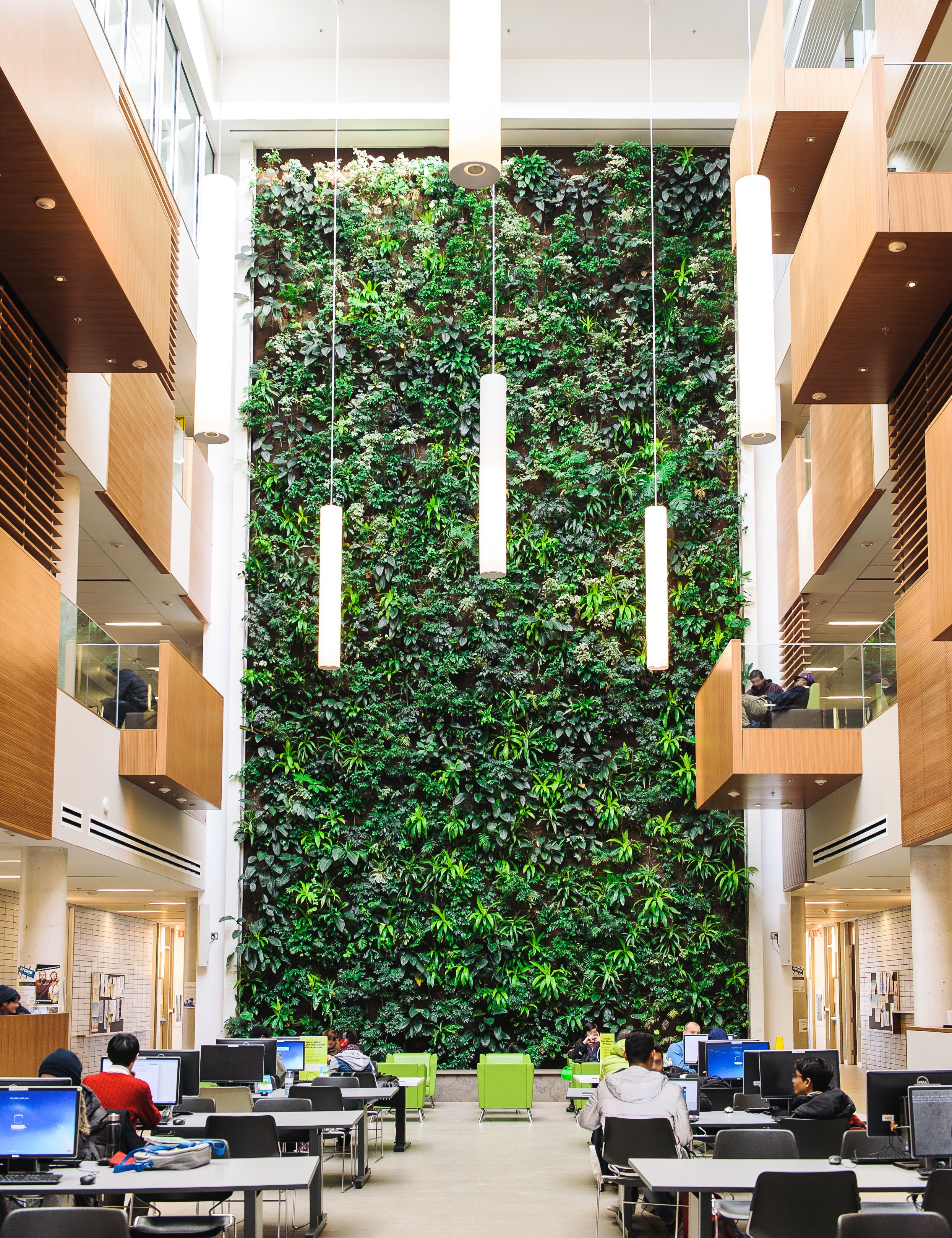 Nedlaw Living Walls Centennial College Library 7 | Nedlaw Living Walls