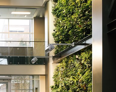 University of Waterloo | Nedlaw Living Walls