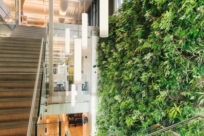 Mohawk College | Nedlaw Living Walls