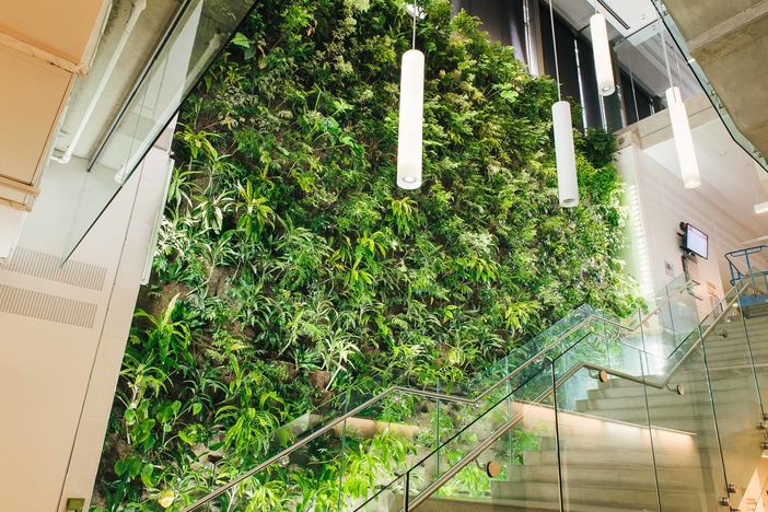 Mohawk College | Nedlaw Living Walls