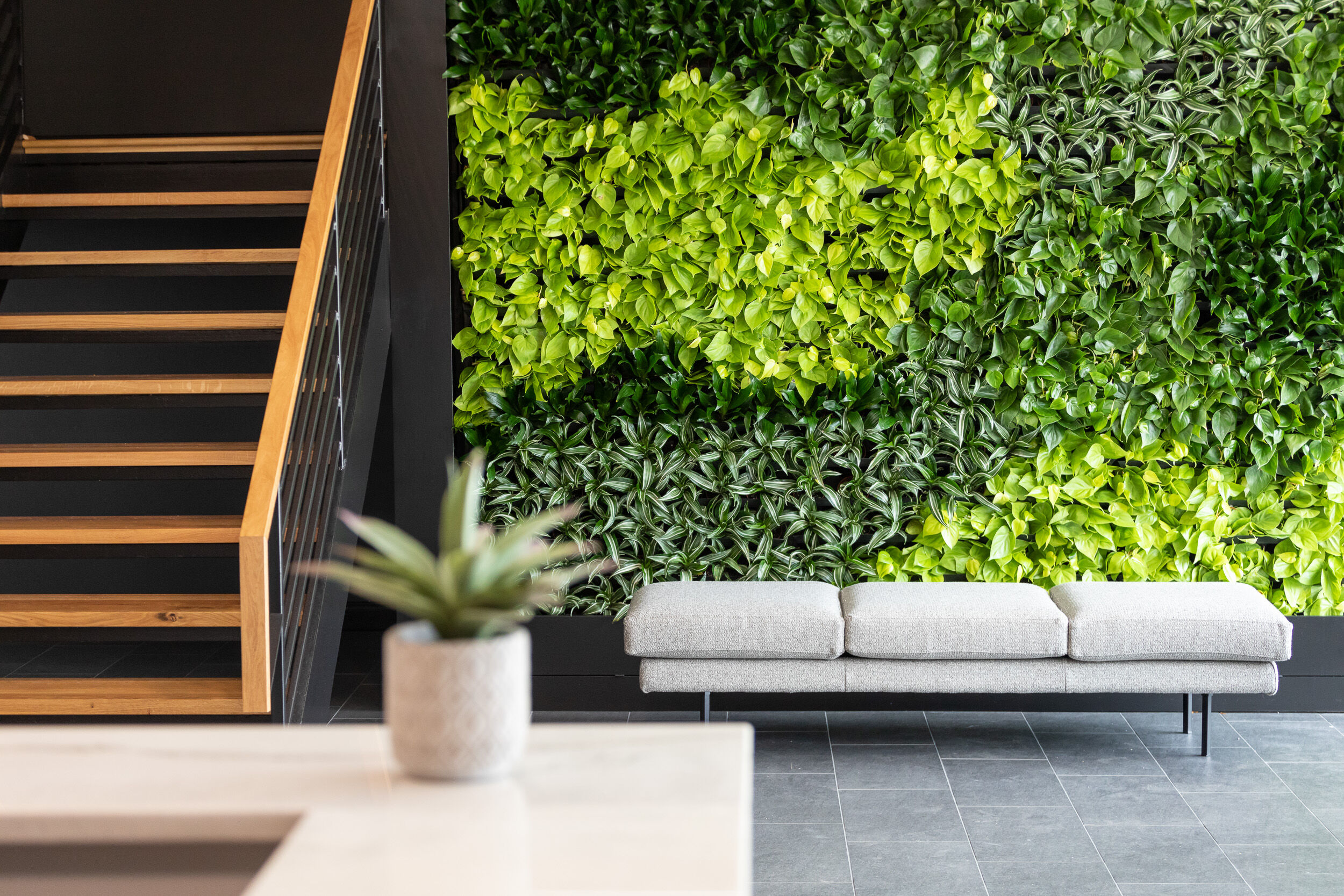 OFS Strom Law: Barrister Hall Lobby Bench Seating | OFS
