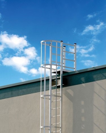 Cage Ladders // Customizable Aluminum Cage Ladder Models | O'Keeffe's Inc.