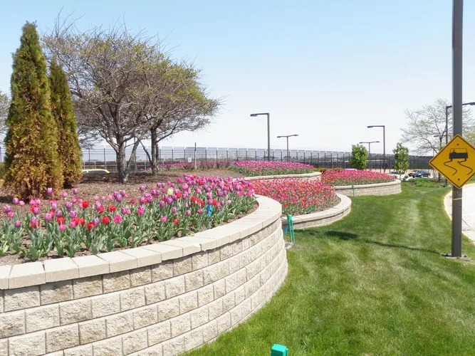 Seasonal Landscape Display | Olson Landscape Architecture