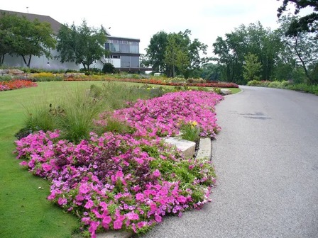 Seasonal Landscape Display | Olson Landscape Architecture