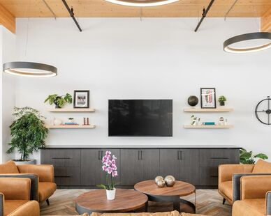 District 56 - Terminus | Acuity