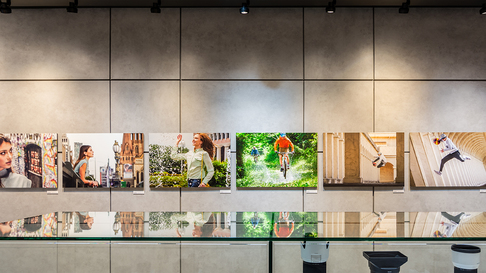 Sony Square | Pure + FreeForm