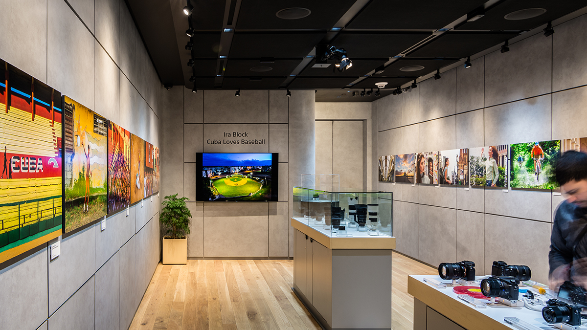 Sony Square | Pure + FreeForm