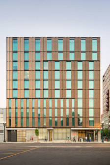 Canopy by Hilton | Pure + FreeForm