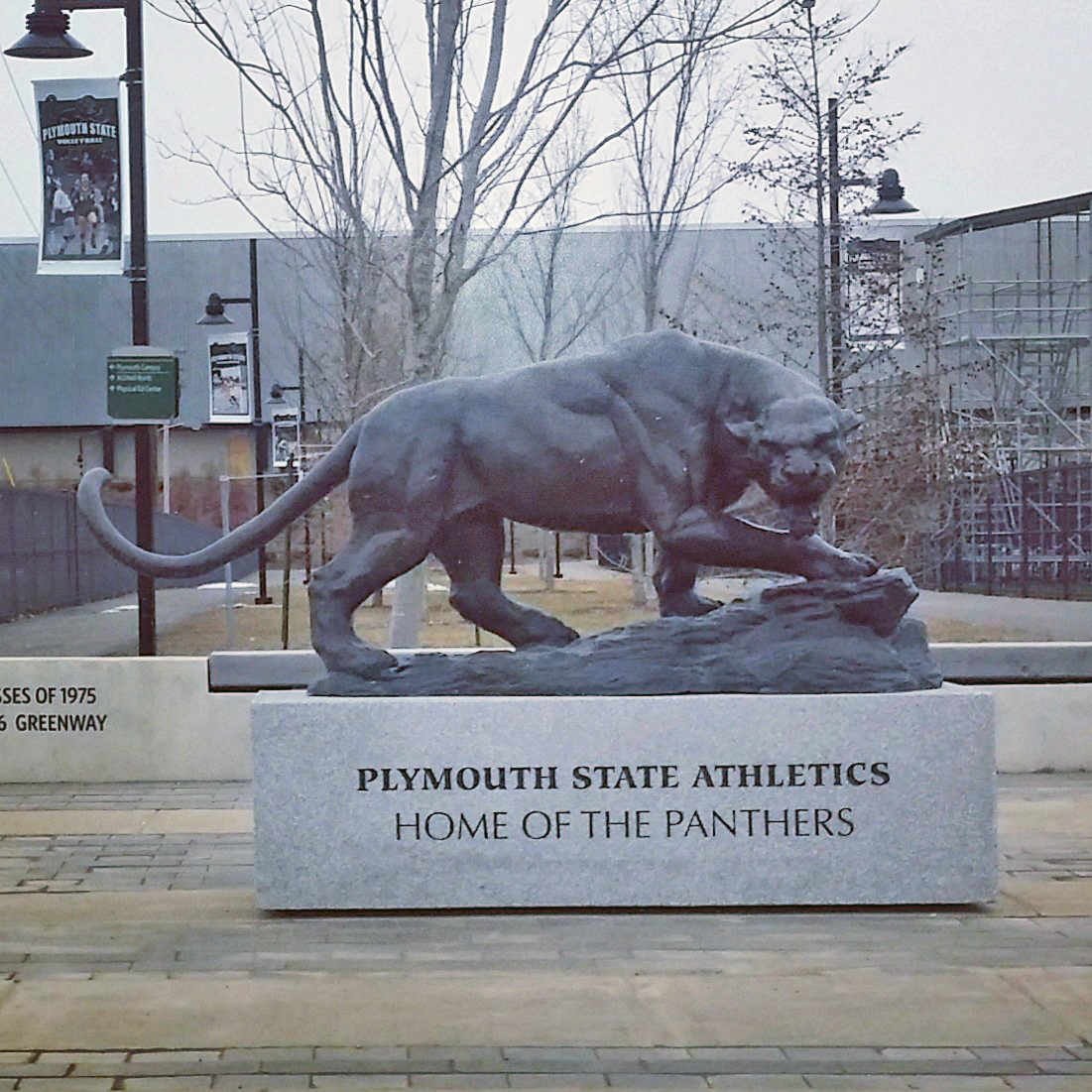 RANDOLPH ROSE collection | Randolph Rose Collection