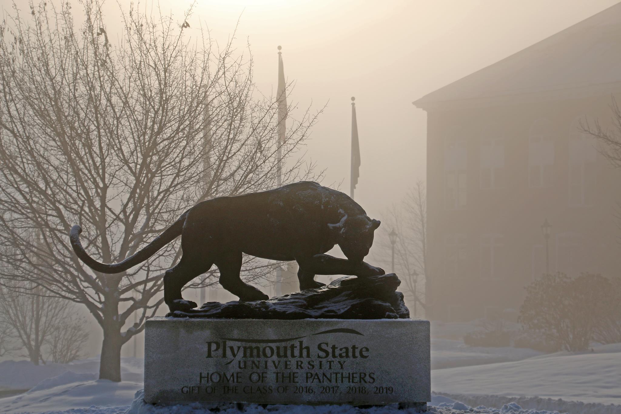 RANDOLPH ROSE collection | Randolph Rose Collection