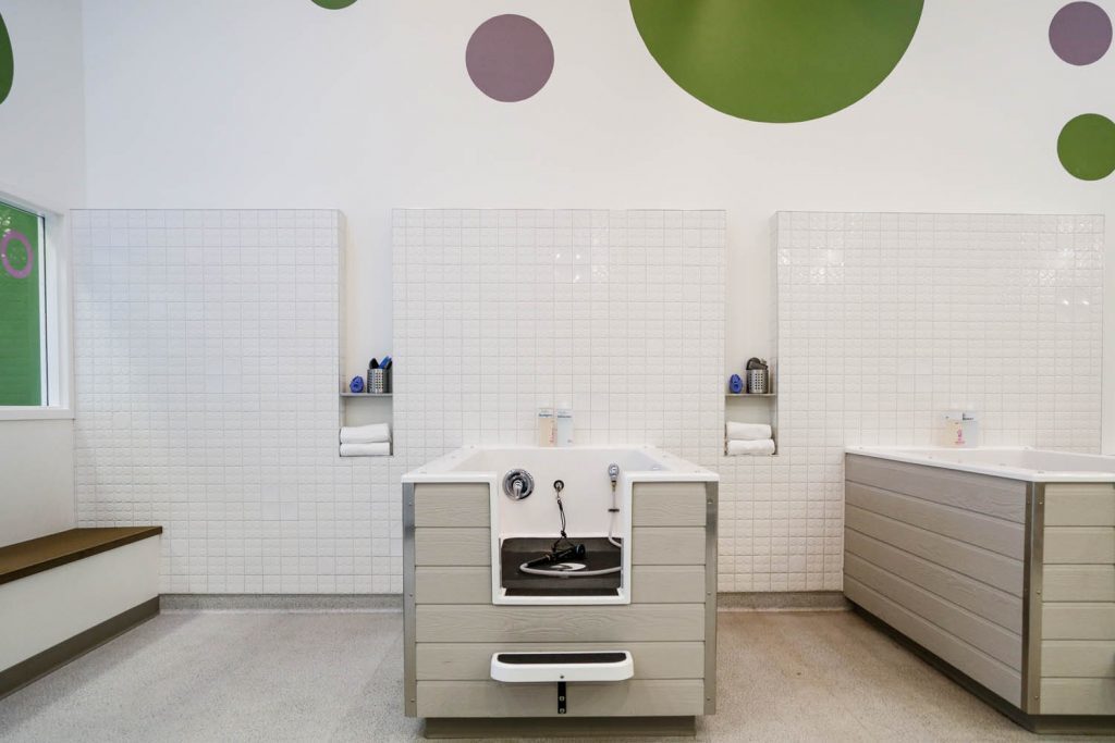 Rubble Tile Bubbly Paws | Rubble Tile