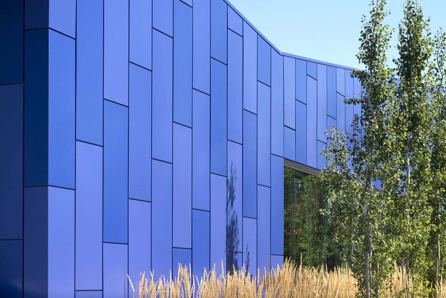 Skyway Library Seattle, WA Painted Aluminum Panels Dri-Design | Dri-Design