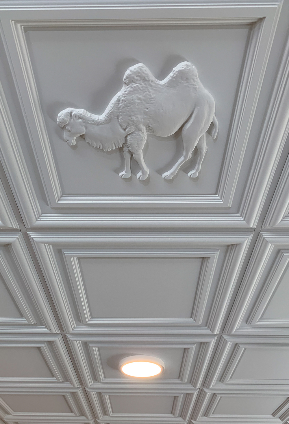 Sprague Children's Library | Above View Inc.