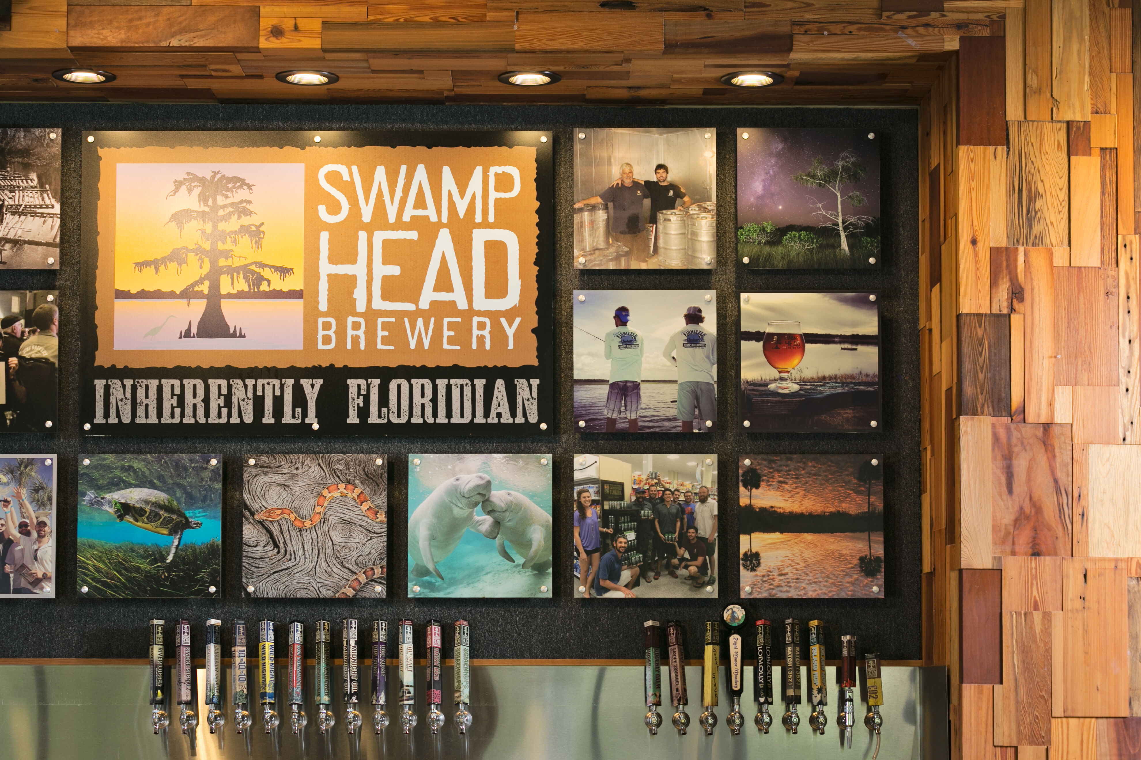 Swamphead Brewery | Goodwin Company
