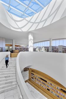 Donald Dungan Library At Lions Park | Tate Inc.