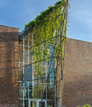 The Western Group Seattle Library Custom Exterior Plant Facade System ...