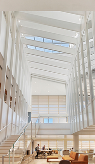 UCLA Marion Anderson Hall | Los Angeles, CA | Giroux Glass Inc.