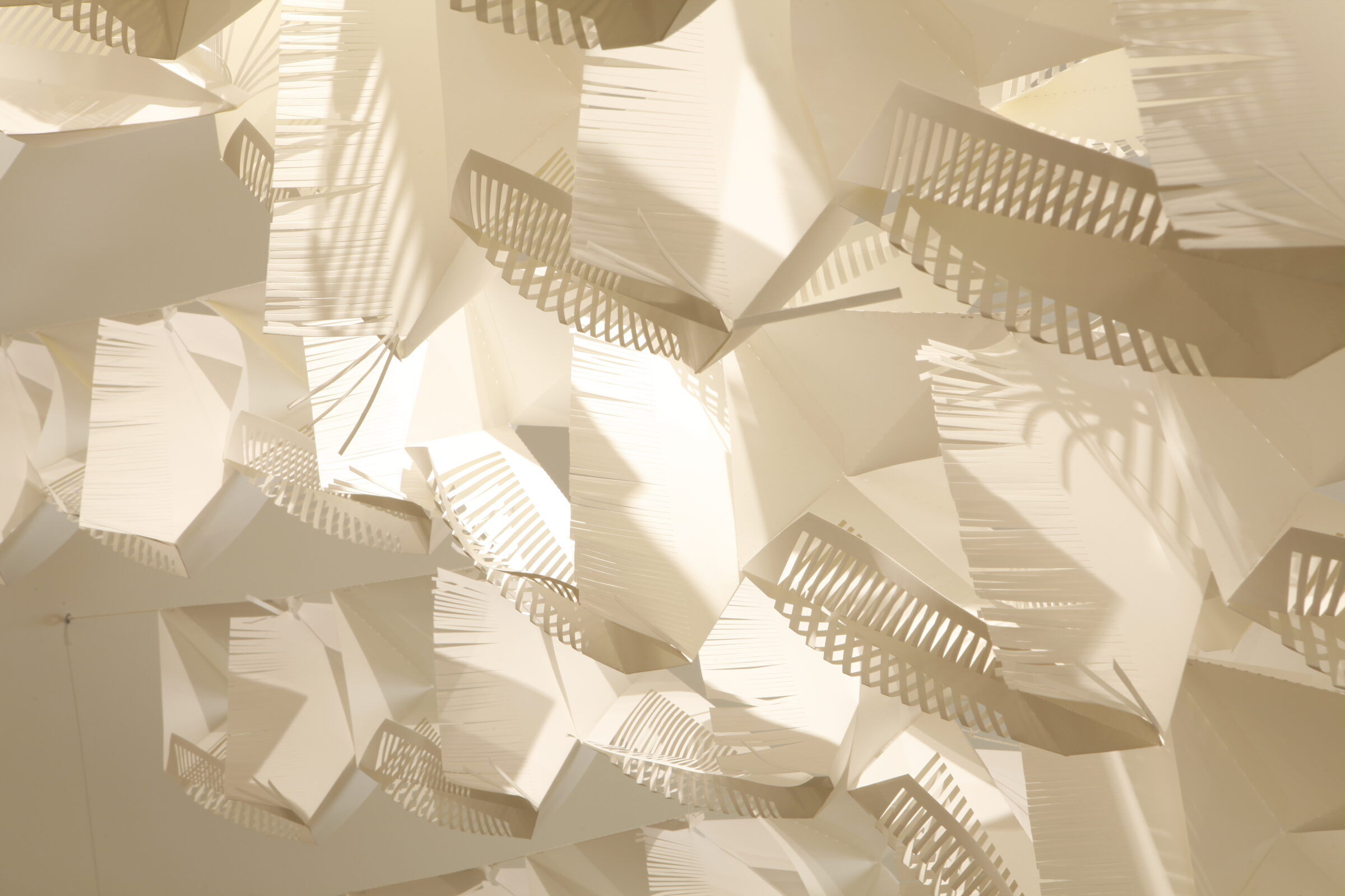 Vertebrae Architecture Fat Fringe Installation Paper Modules Design ...