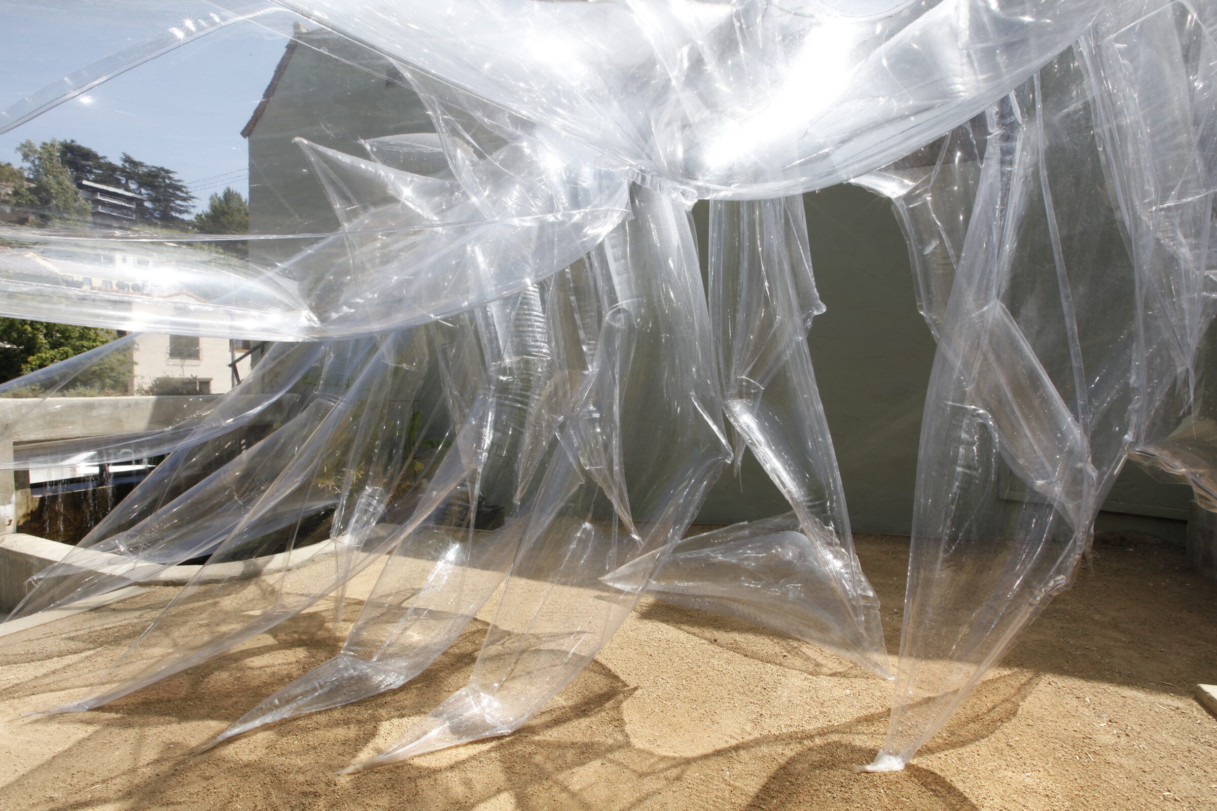 Vertebrae Architecture Squid Capsule Inflatable Squid | Vertebrae Art ...