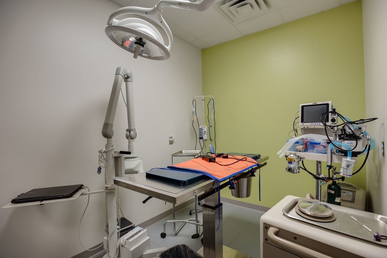 Vet Partners | Scott Build