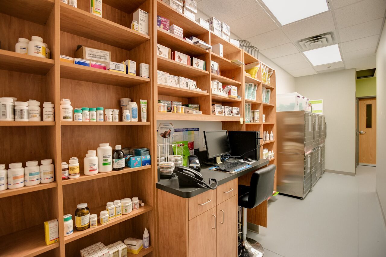 Vet Partners | Scott Build