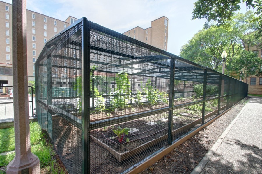 Waterloo Outdoor Design Build Commercial Landscape Design Austin Texas ...