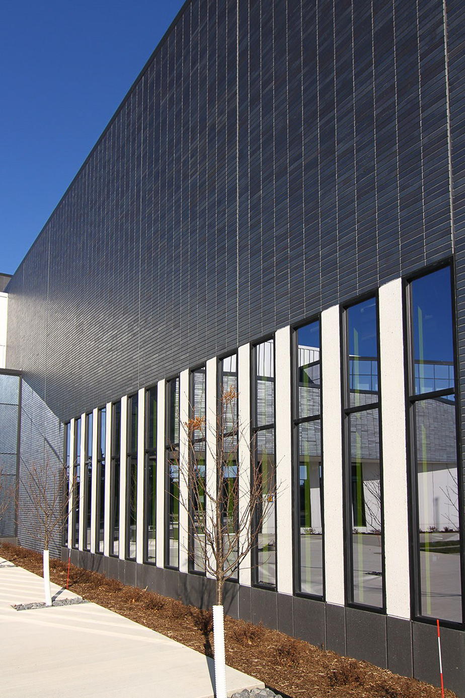 Wells Concrete Austin Community Recreation Center Exterior Vertical ...