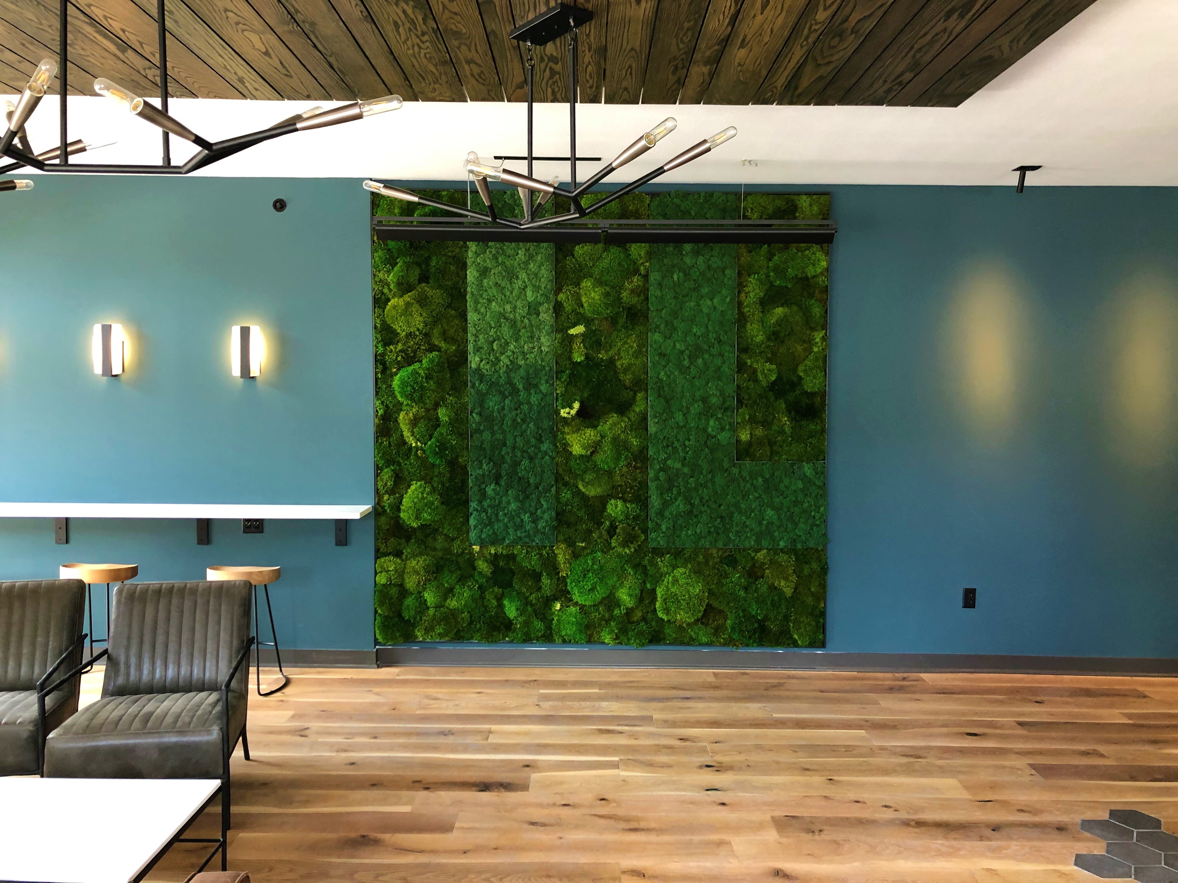 The Fat Plant Society Moss Design for Isom Collective and Westside ...